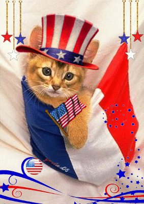 Kittens We Are Offering Now