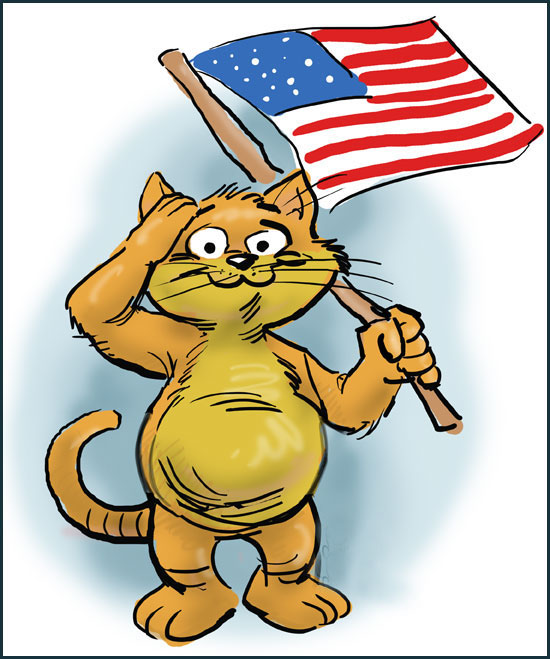 Scottish Fold Kittens for Memorial Day