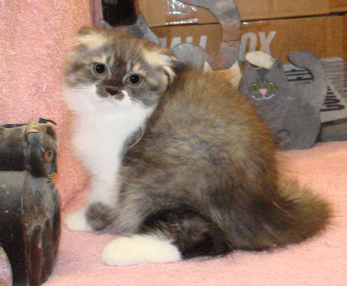 Call me Rigby but make no mistake - I'm not a girl!